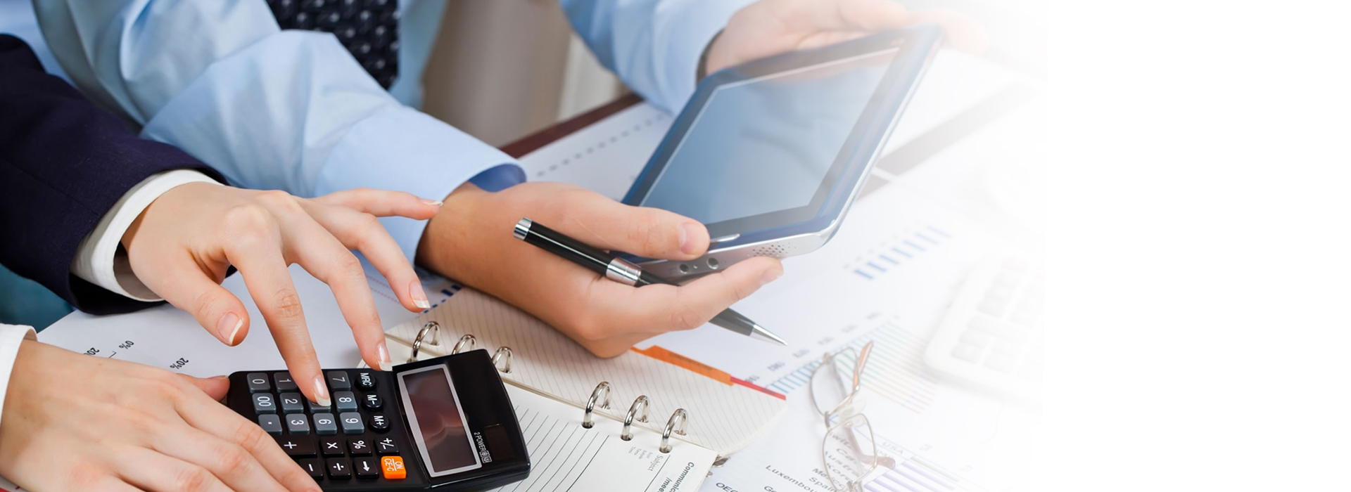 T&T Software de México